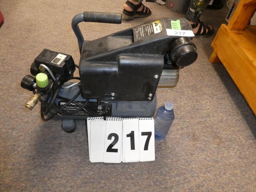 Pro-Pulse 2Gal Compressor Works