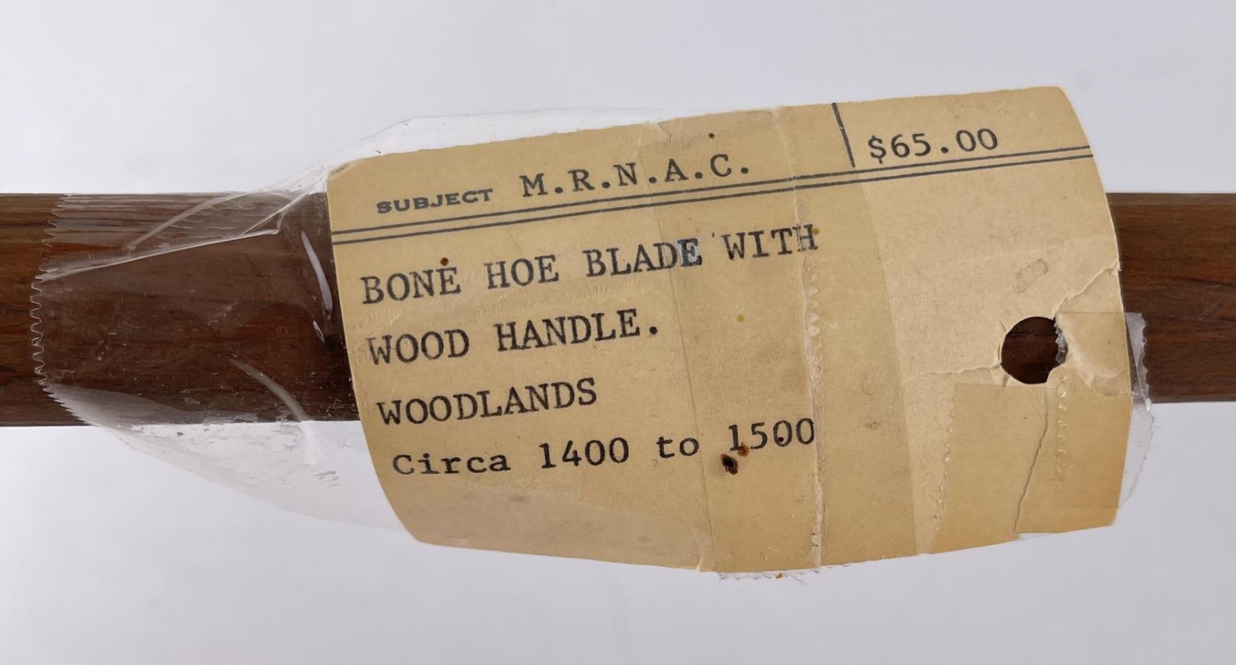 Ancient Woodlands Indian Bone Hoe Tool