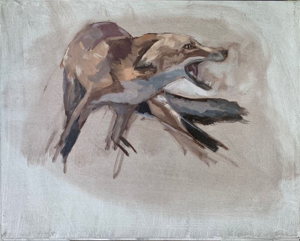 Amanda Wilner QF - "Angry Fox"