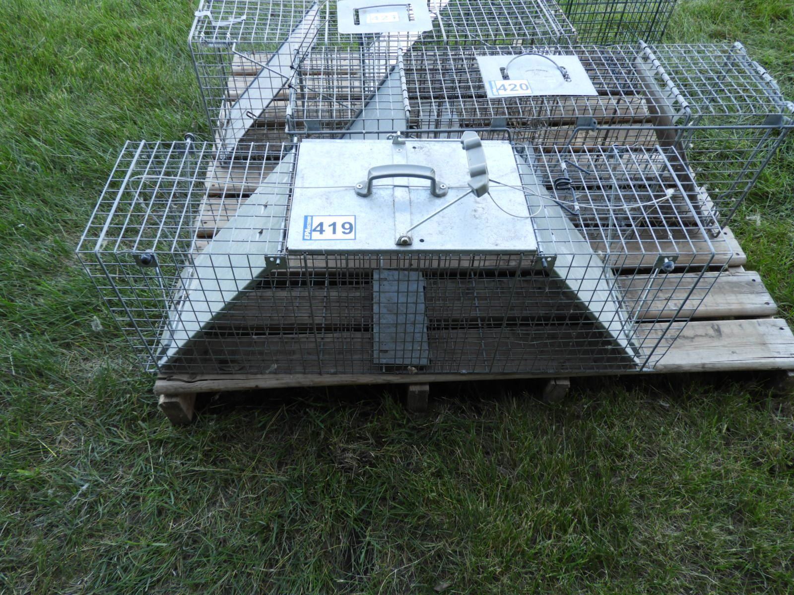 Large live catch trap- open both ends (one trap)