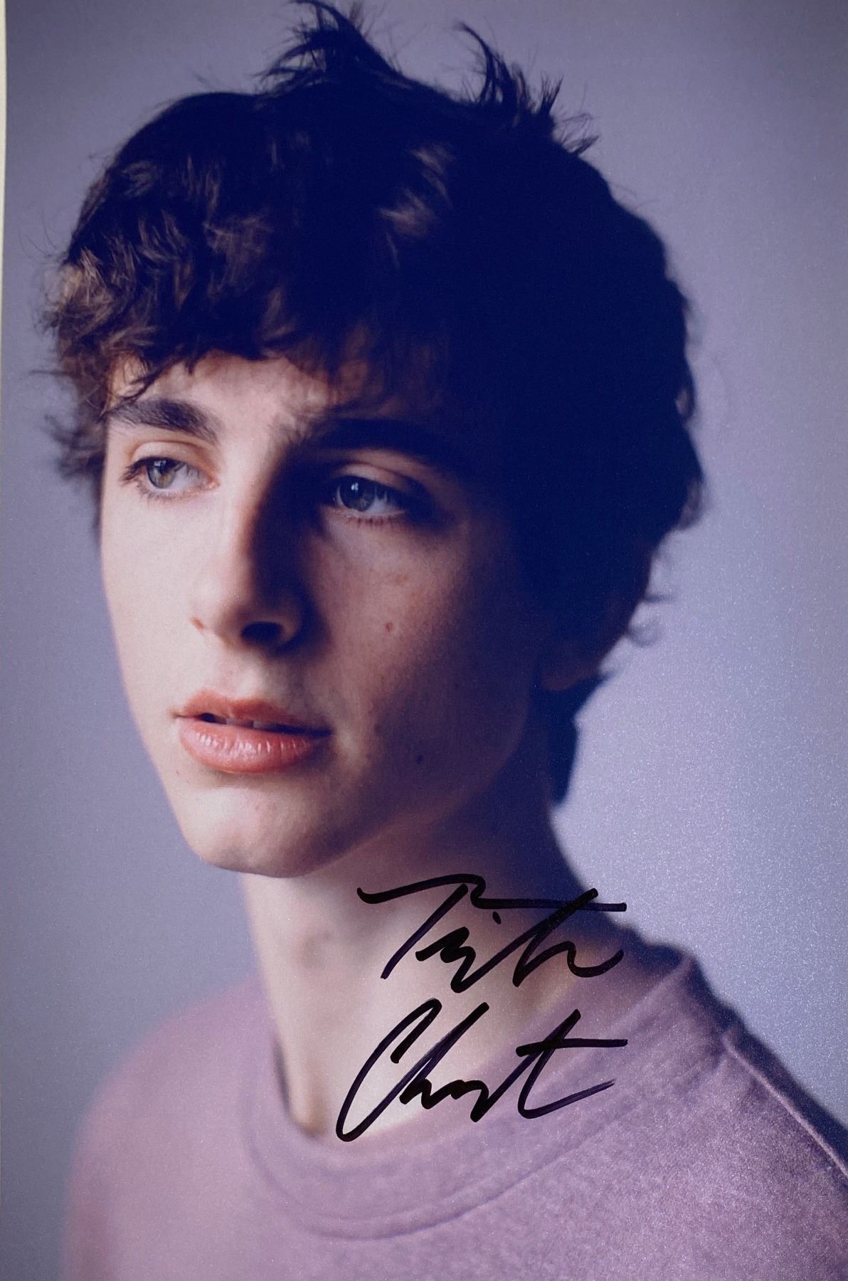 Autograph Signed Timothée Chalamet Photo