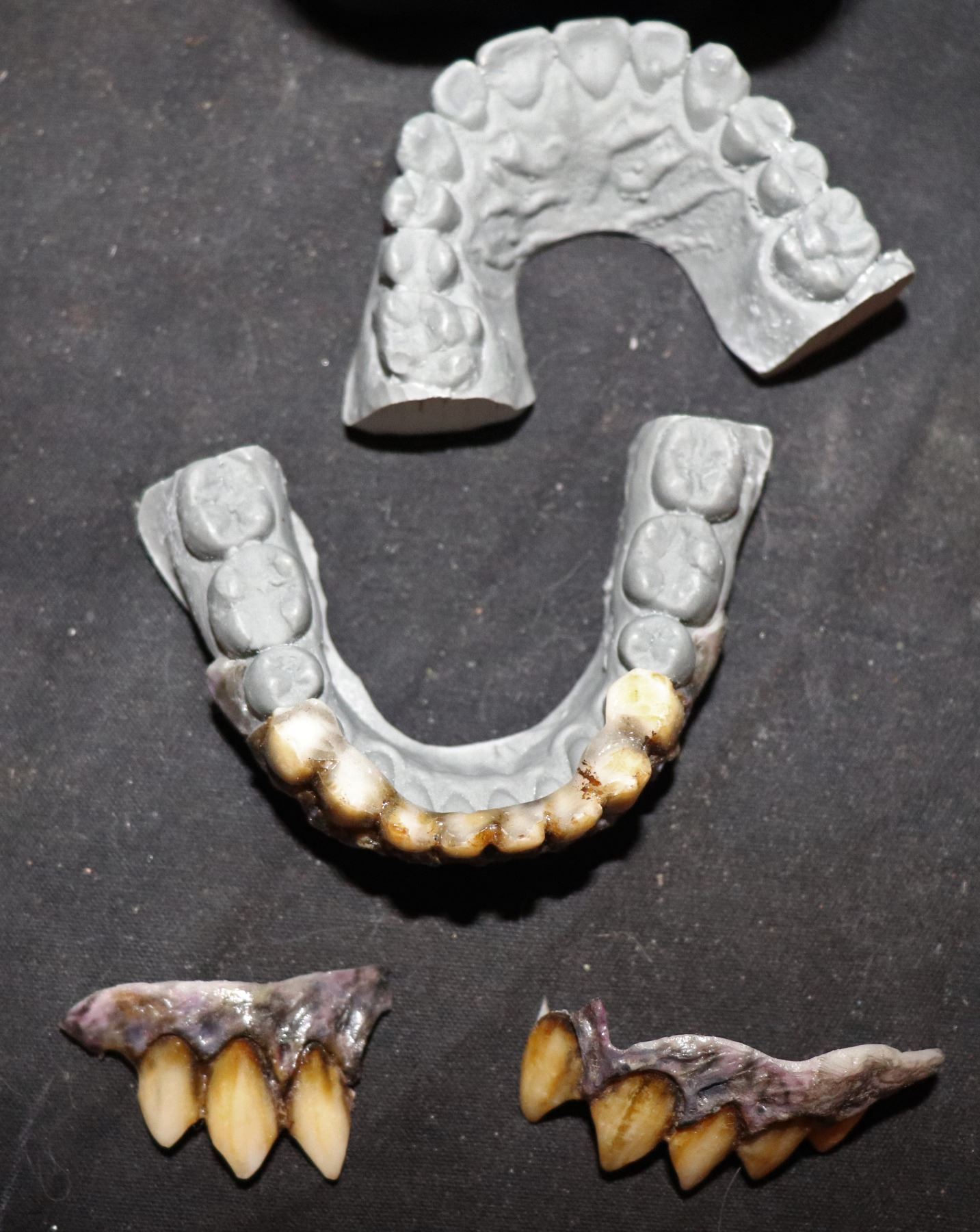 ANNABELLE COMES HOME MALTHUS DEMON SCREEN USED HERO ACRYLIC TEETH ...