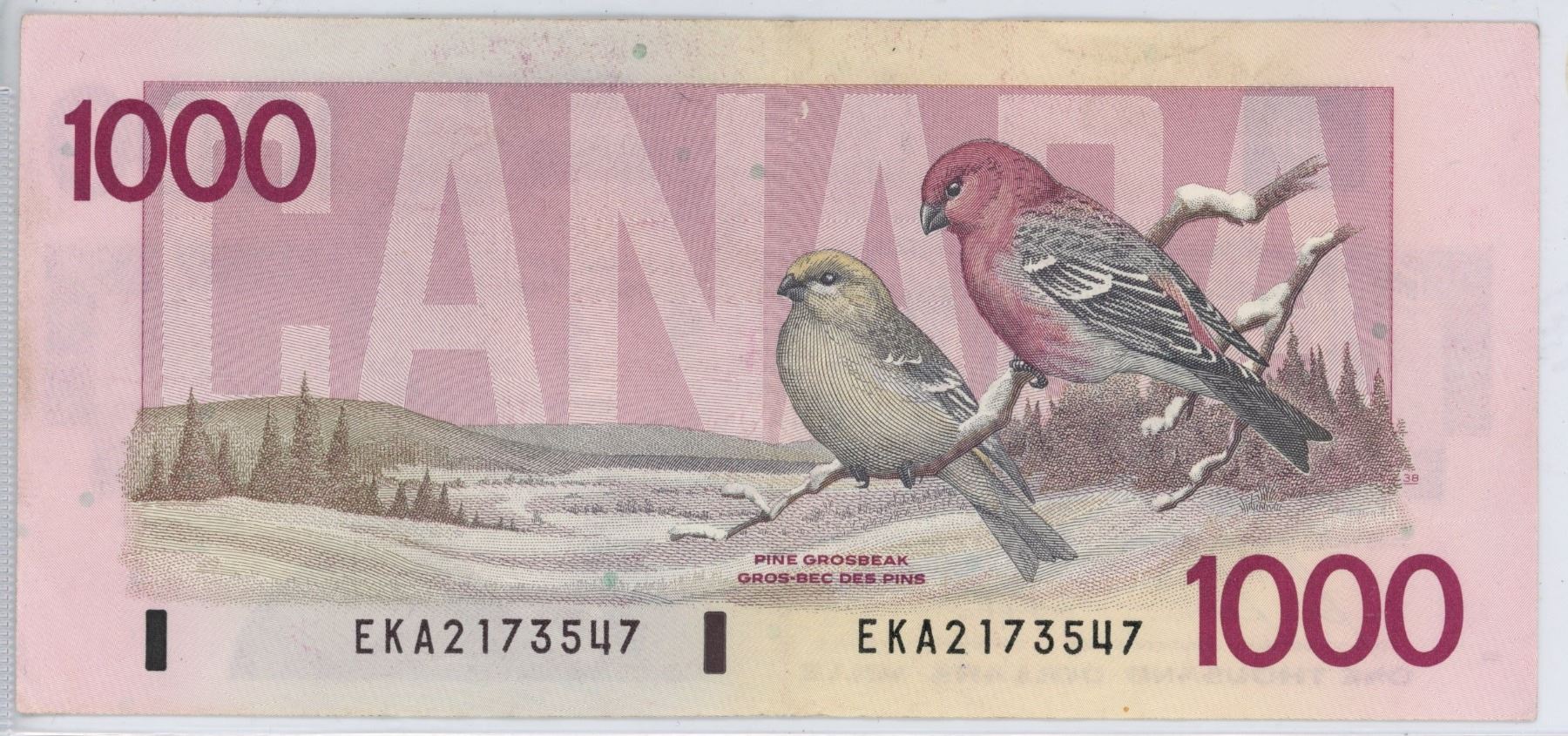 1988 One Thousand Dollar note $1000.00 Canadian 1K bill