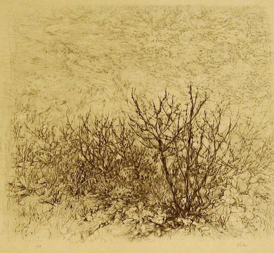 Anna Ticho, Israeli art