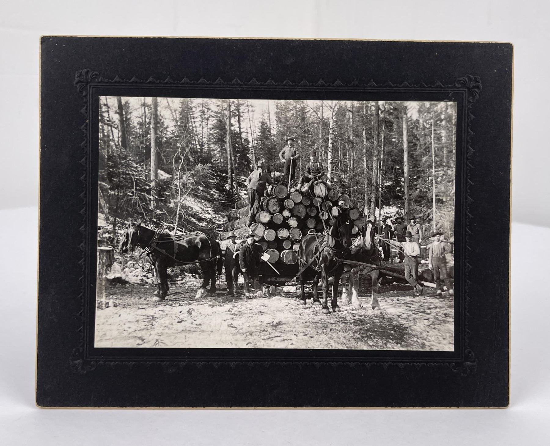 Montana Logging Team Occupational Photo