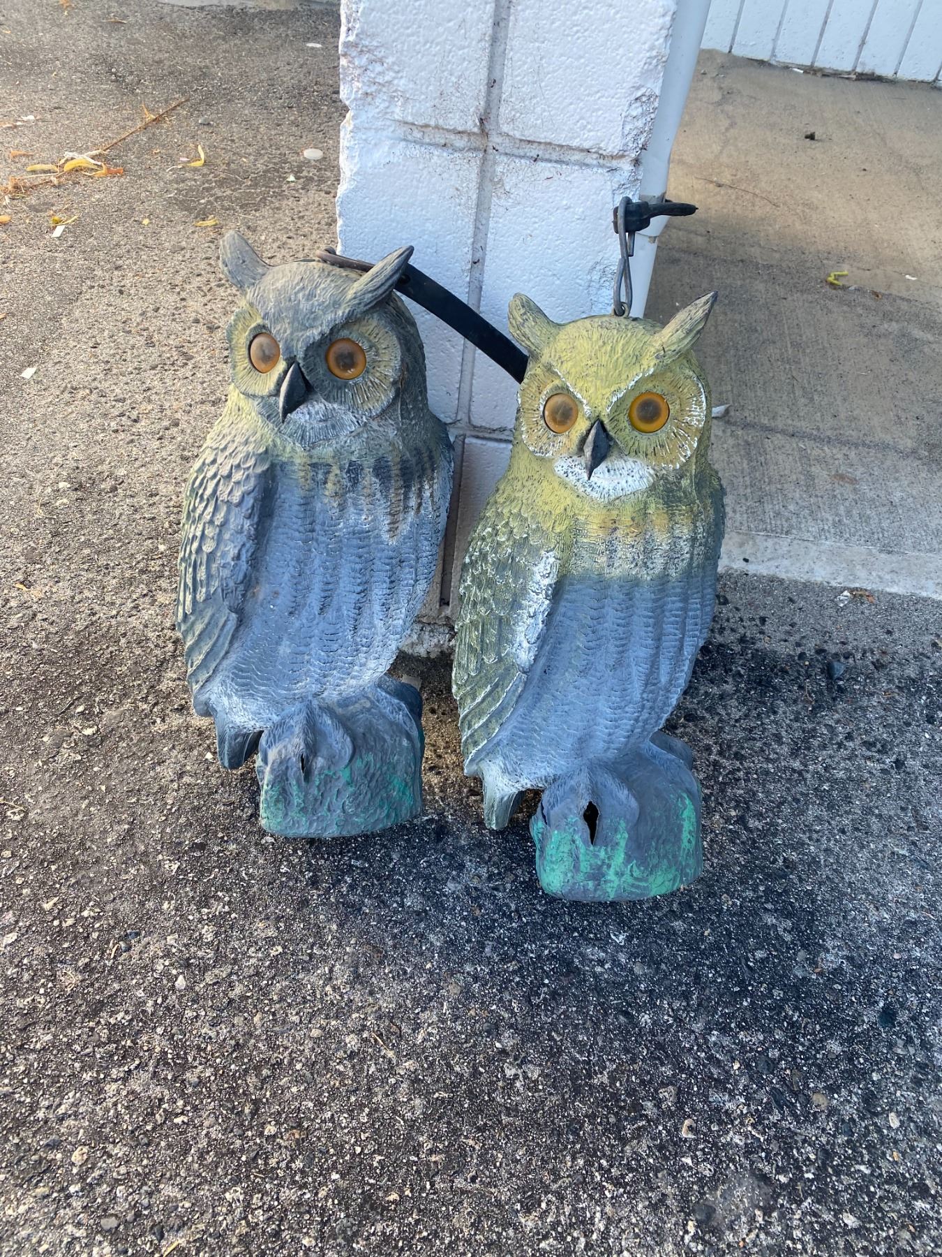Owl decoys