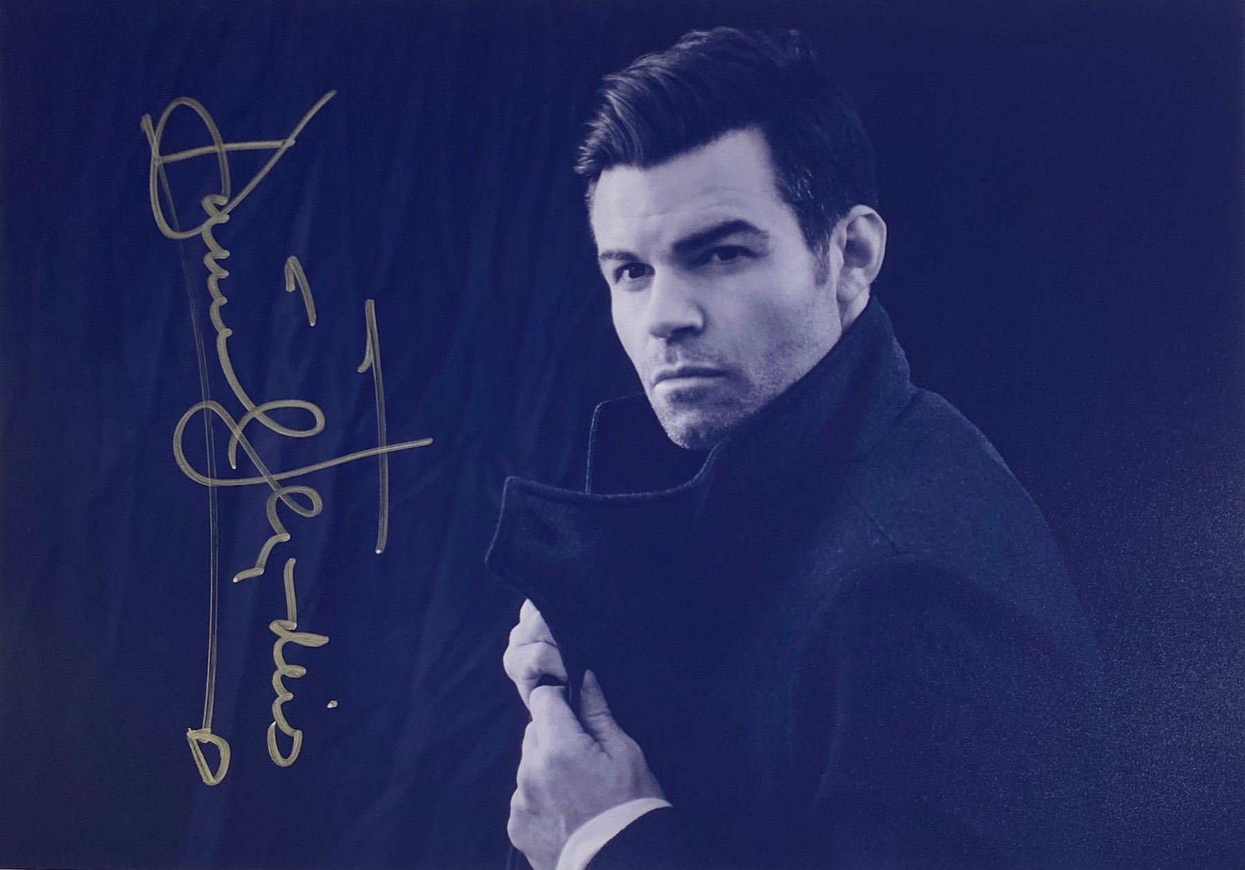 Autograph Signed Daniel Gillies Photo
