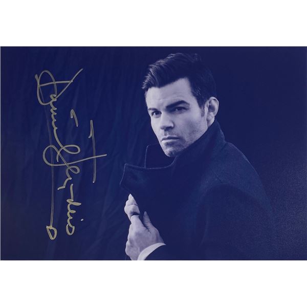 Autograph Signed Daniel Gillies Photo