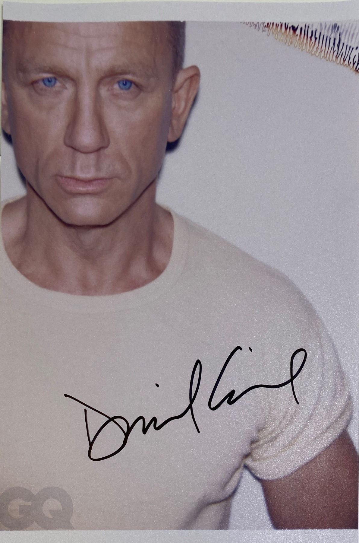Autograph Signed Daniel Graig Photo