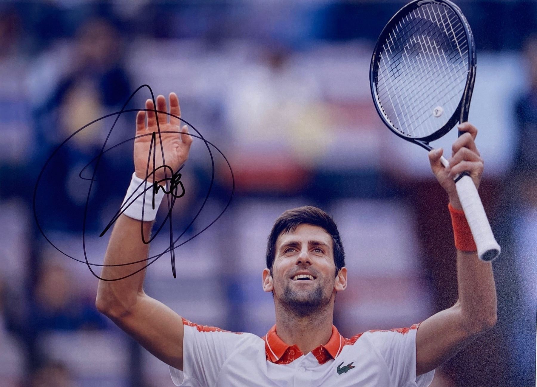 Autograph Signed Novak Djokovic Photo
