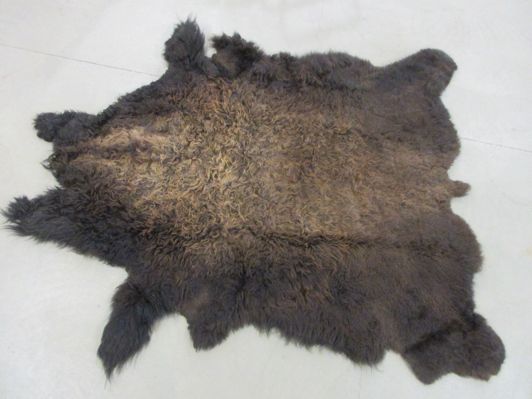 Winter Prime Tanned Buffalo Bull Hide From Livingston MT- 84" X 62 ...