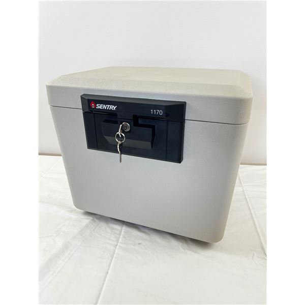 Sentry 1170 Safe