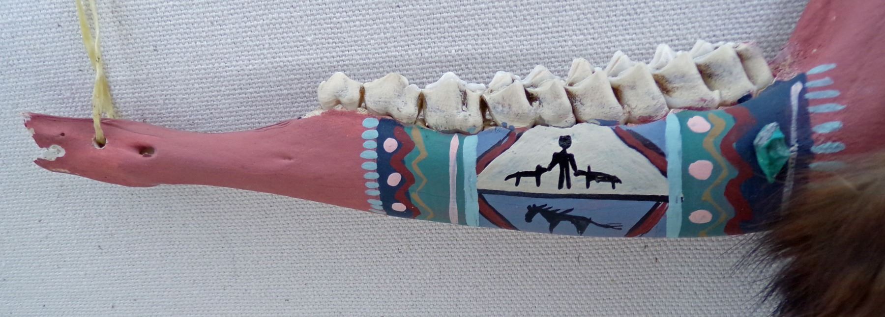 Native American 1993 Navajo Coyote Jawbone Art Décor