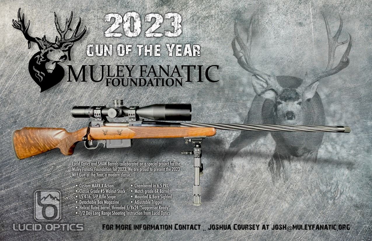 MFF Gun of the Year
