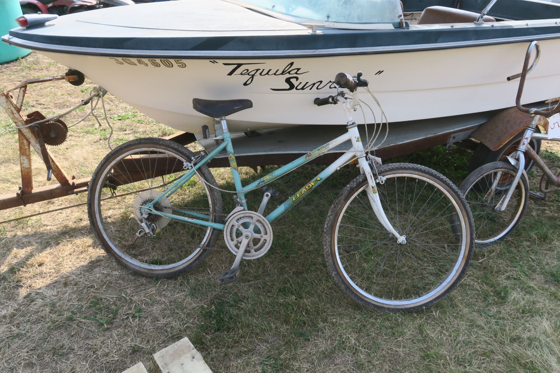 Bicycle (Cecil Ferry) - Schmalz Auctions