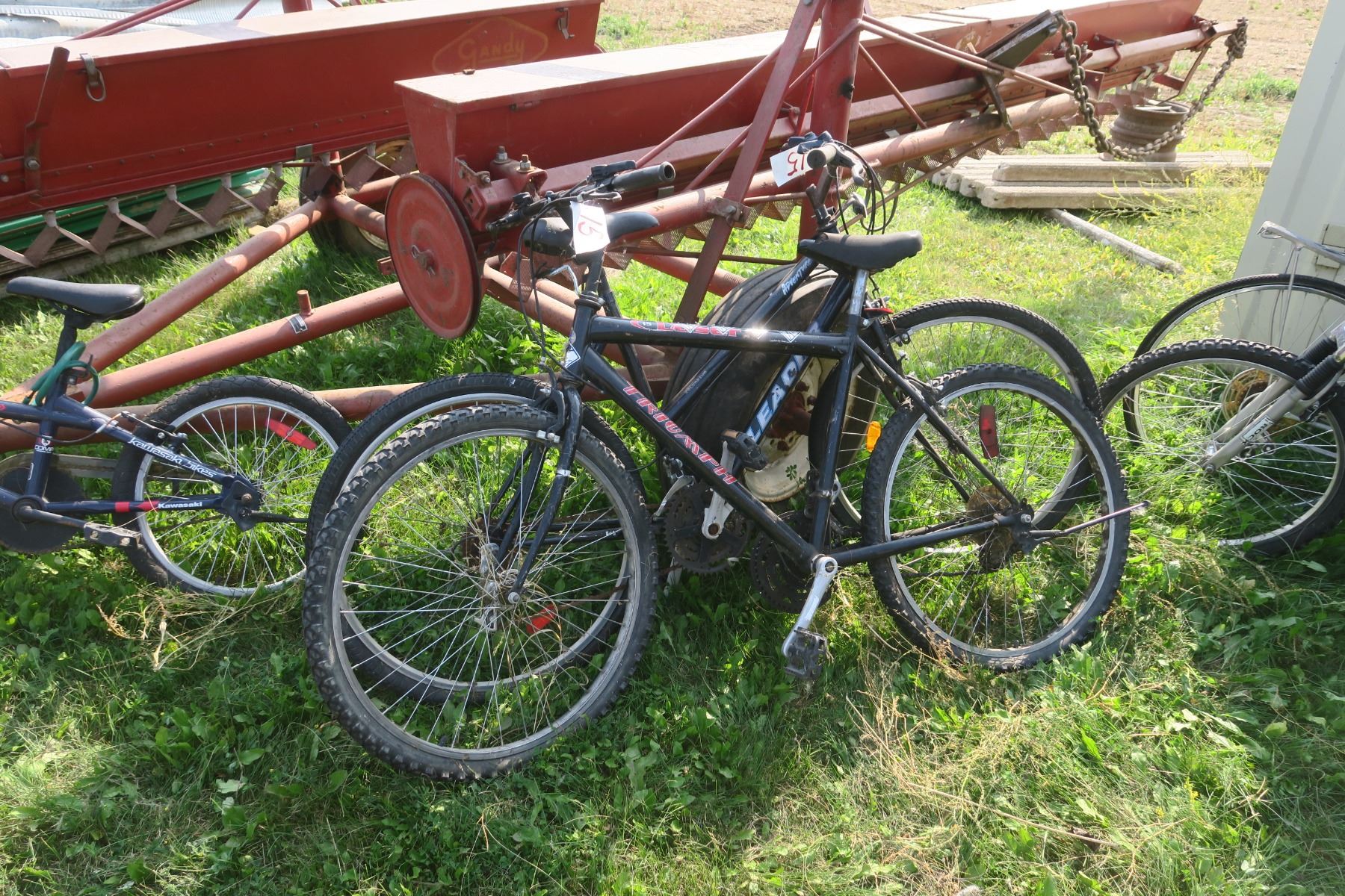 2 Bicycles (Cecil Ferry) - Schmalz Auctions