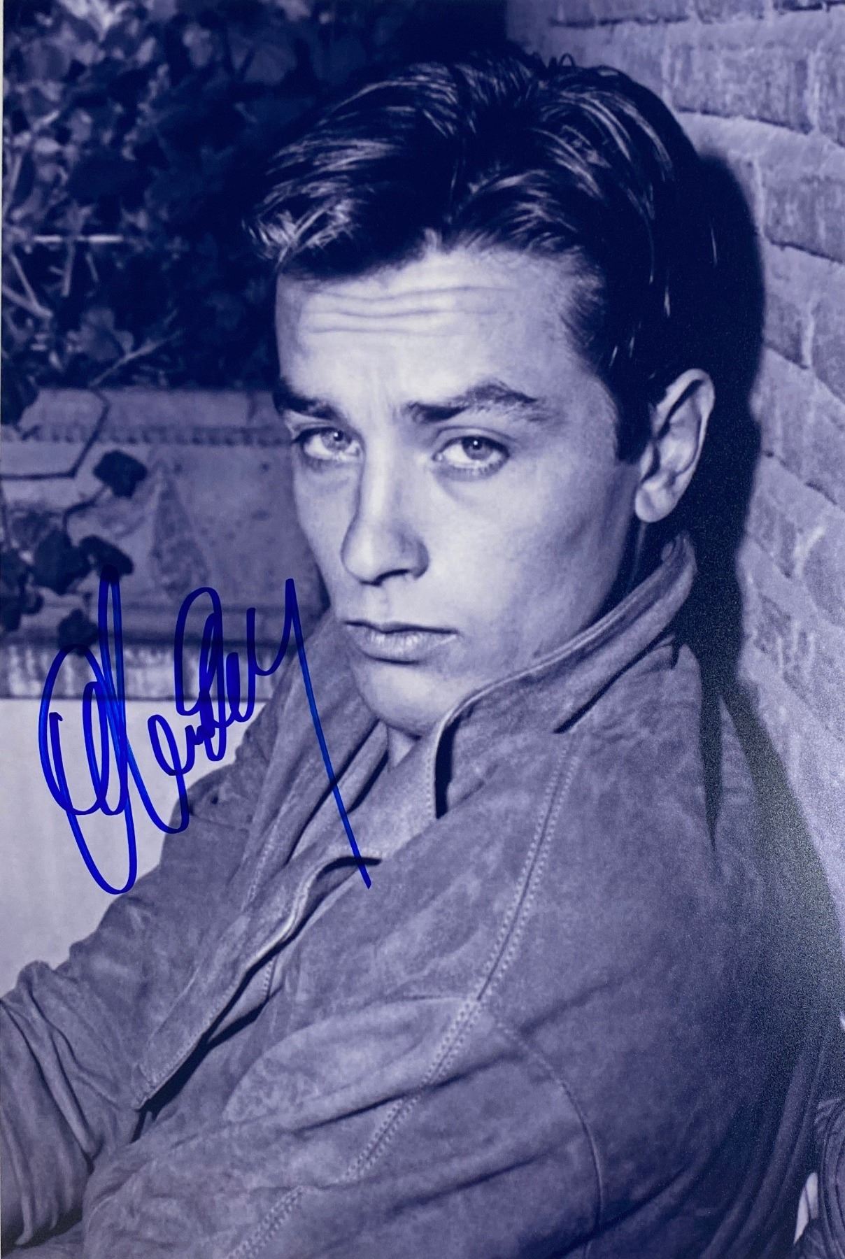 Autograph Signed Alain Delon Photo