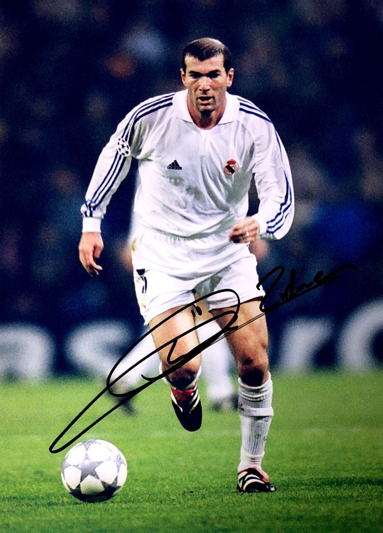 Zinedine Zidane Autograph Autograph Signed Photo
