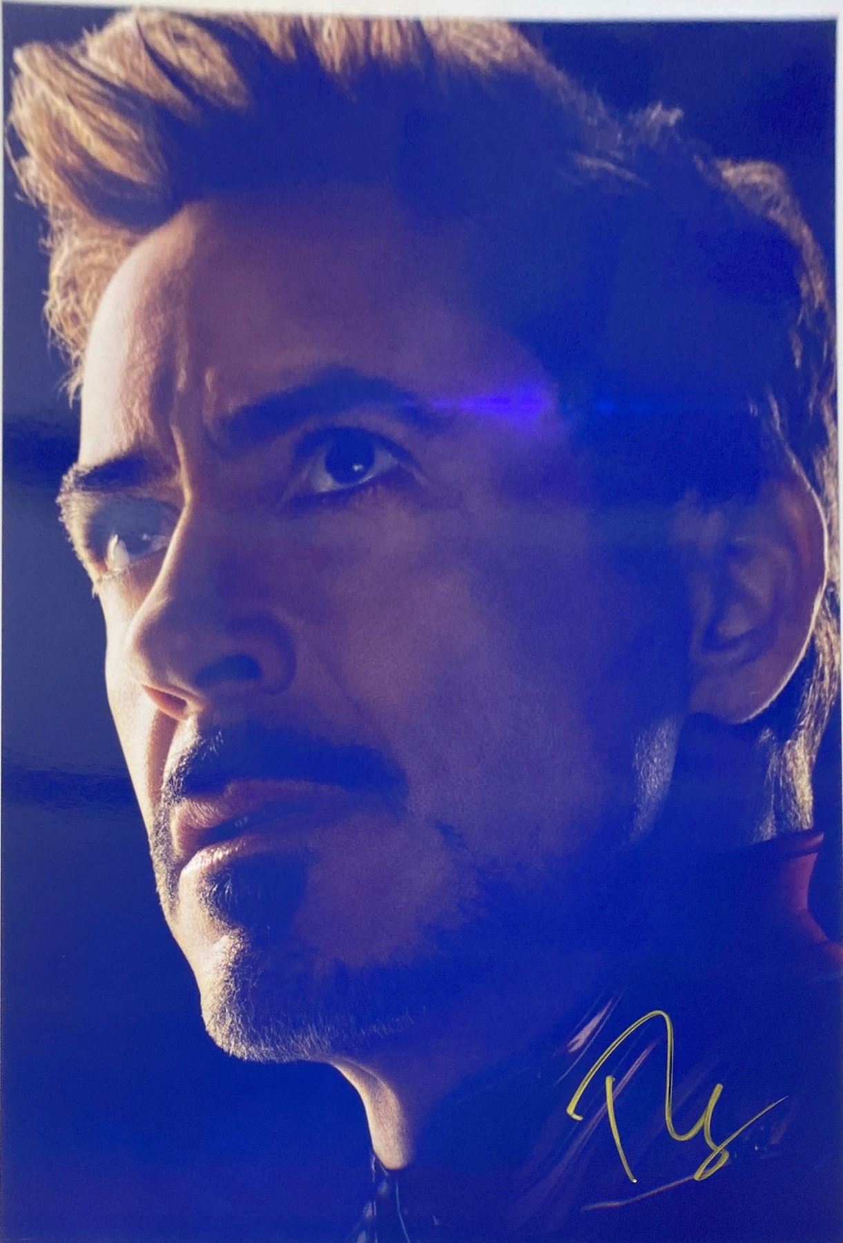 Robert Downey Jr. Autograph Signed Photo