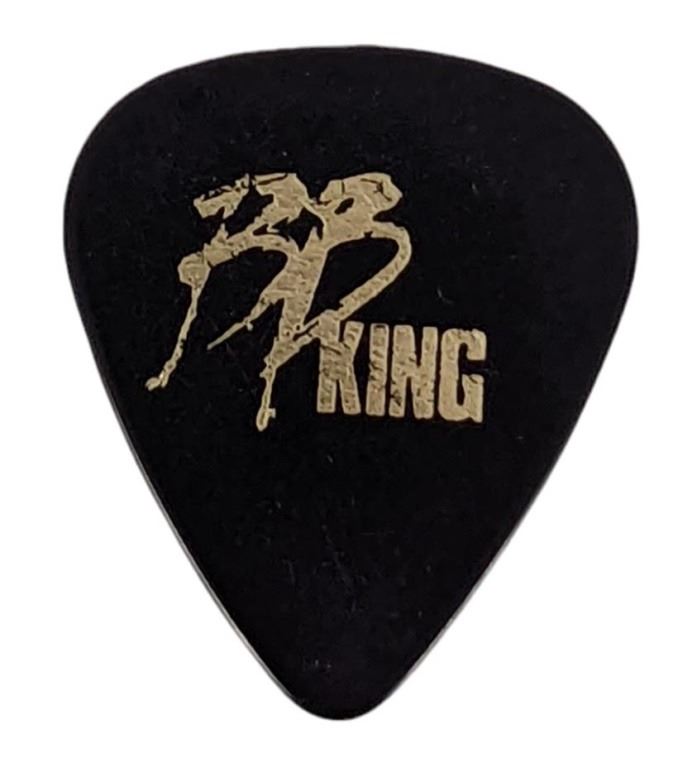 Ray Benson's BB King Guitar Pick Collection