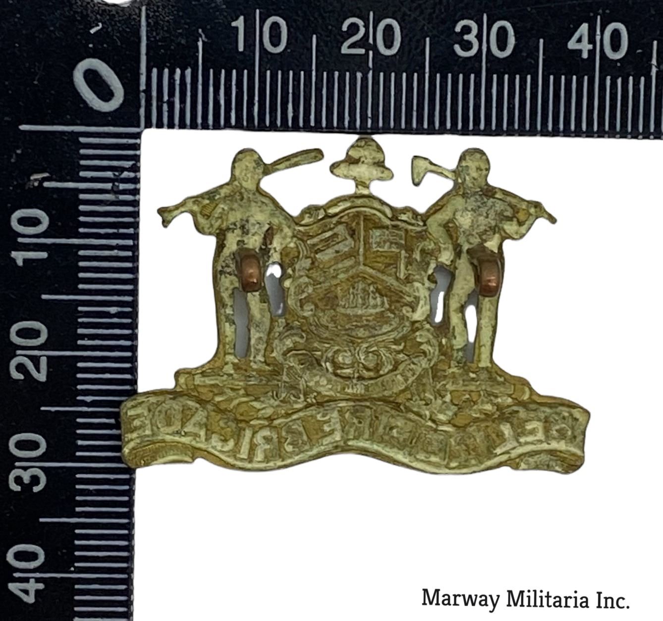 Belize Fire Brigade Cap Badge