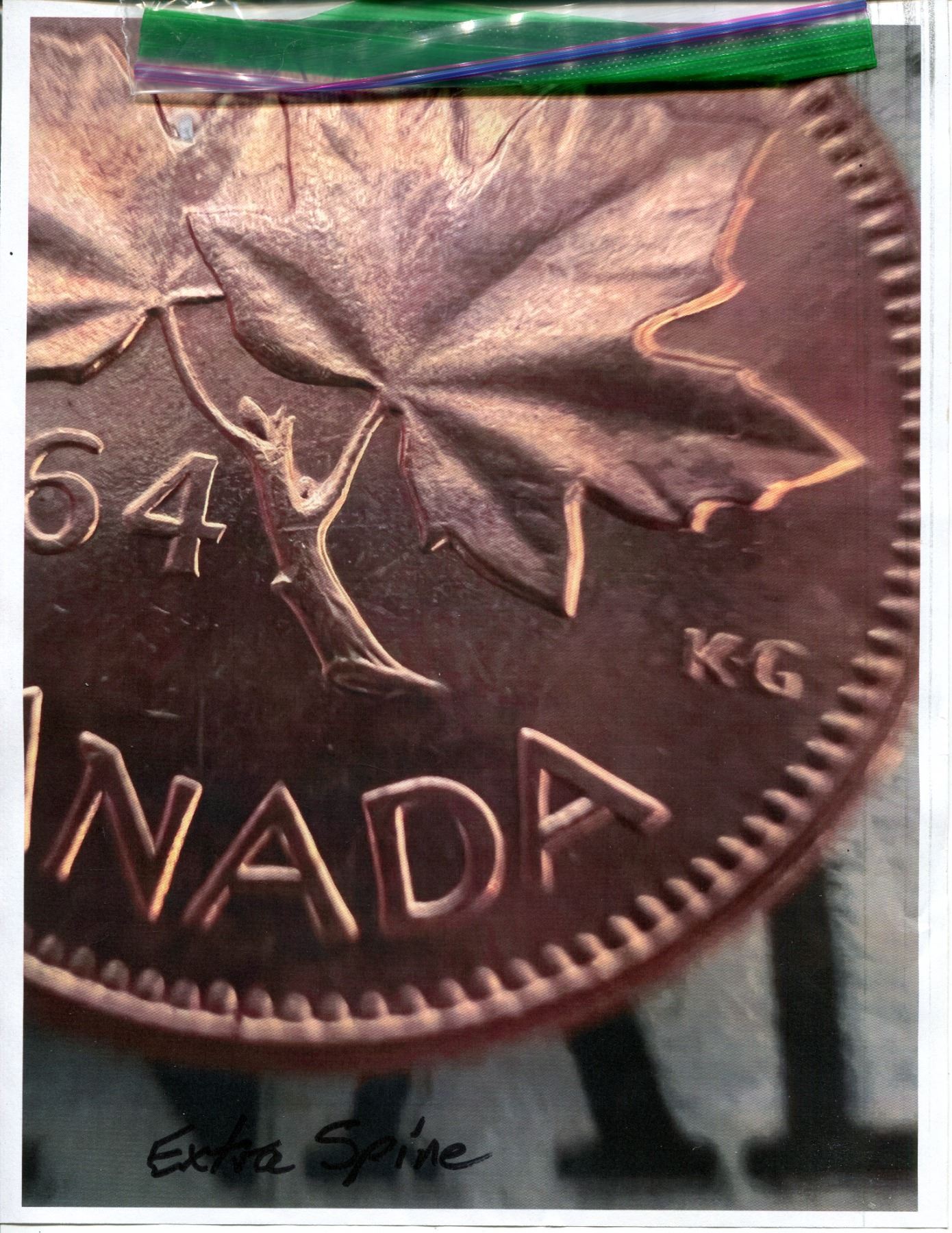 1964 Canadian 1 Cent Extra Spine Schmalz Auctions 1964-canadian-1-cent-extra-spine-schmalz-auctions