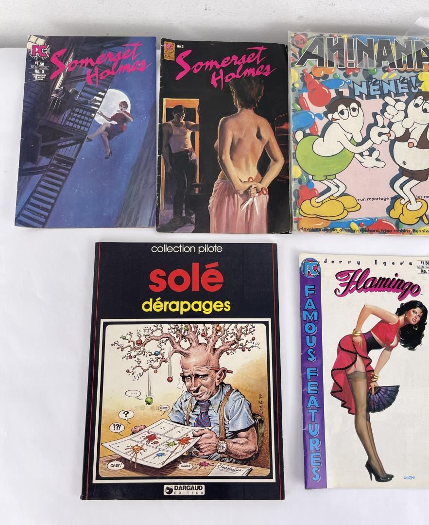 Collection of Risque Graphic Novels Comics