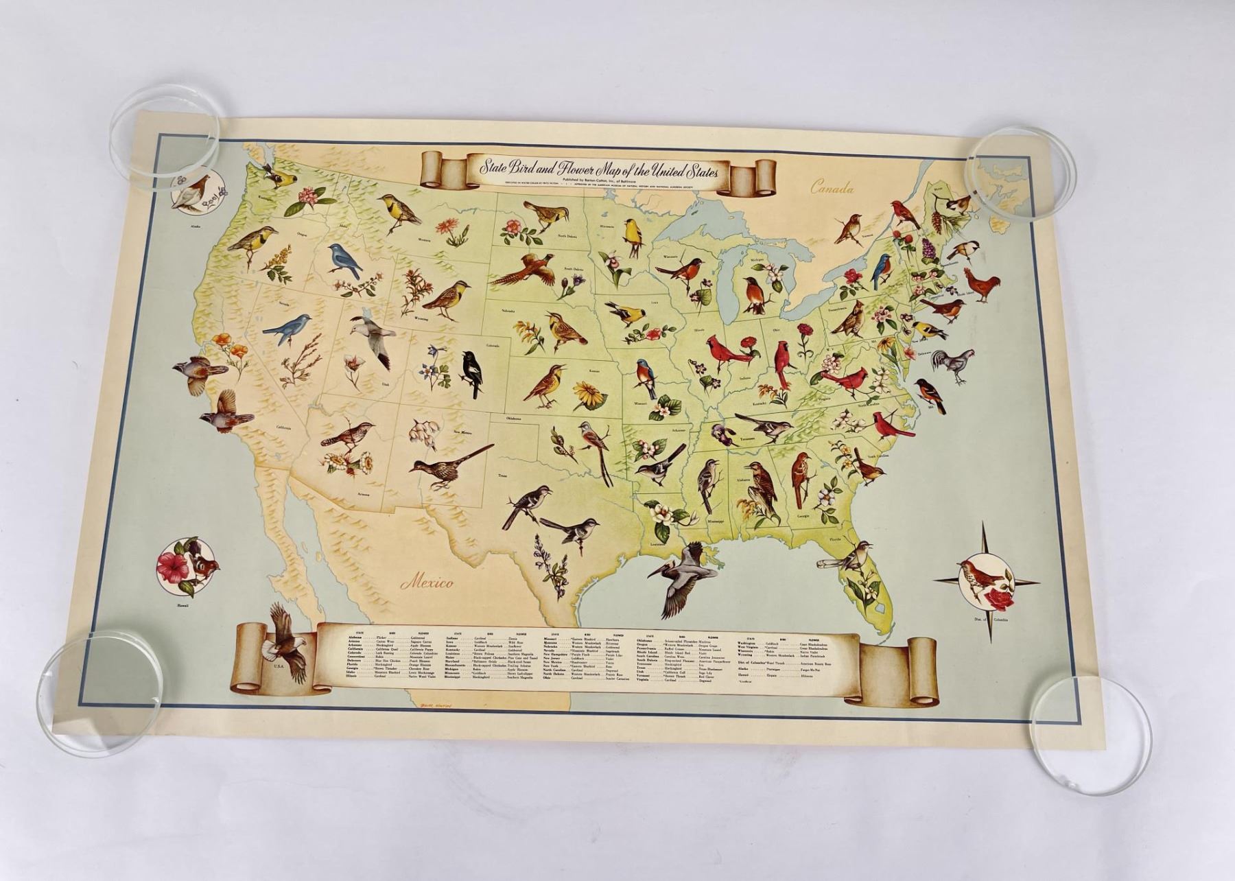State Bird and Flower Map of the United States