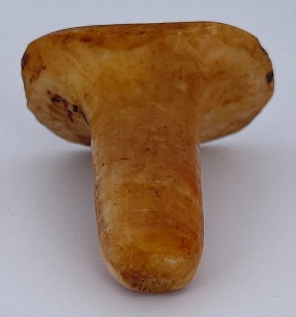 Antique Eskimo Inuit Lip Labret