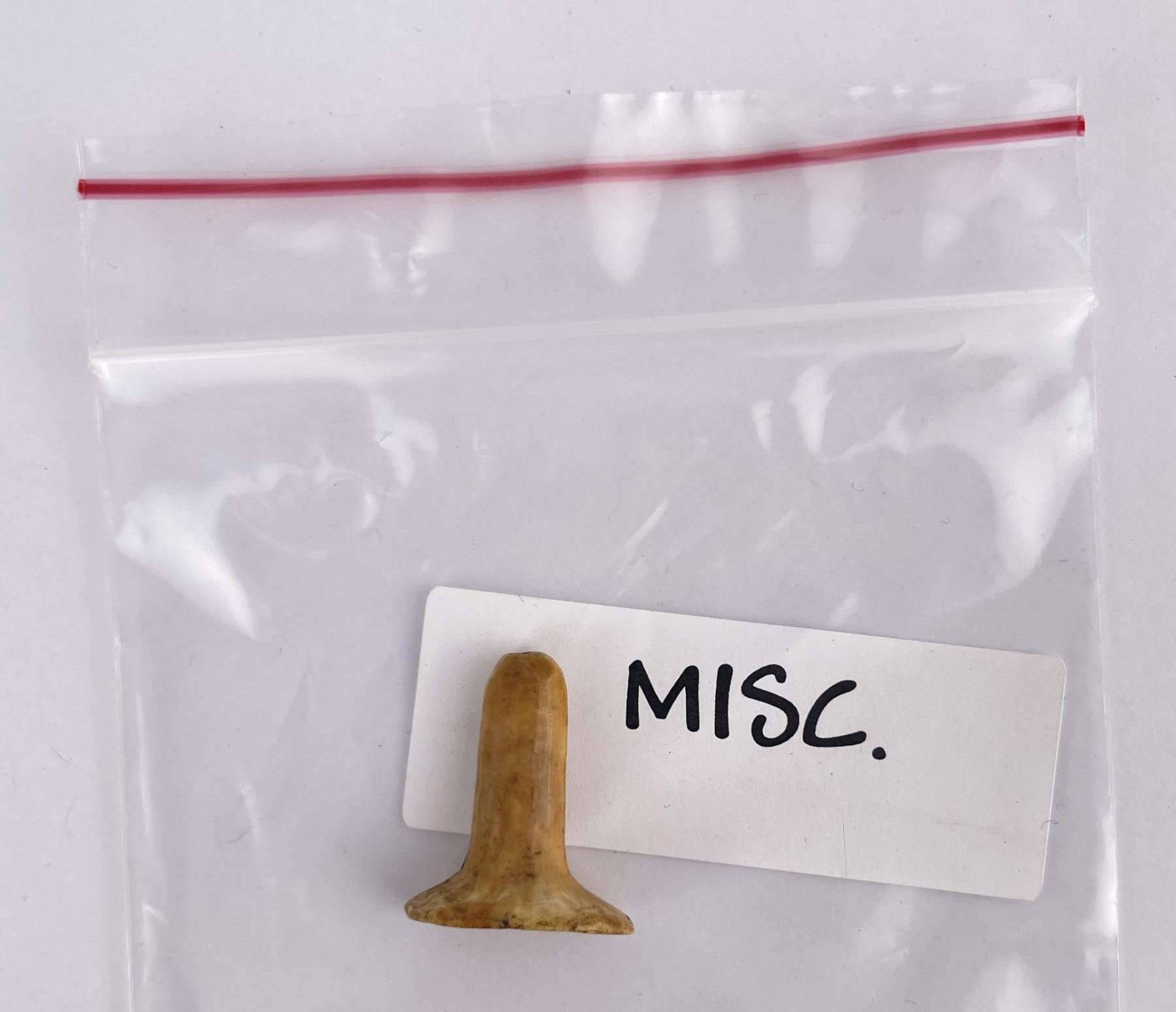 Antique Eskimo Inuit Lip Labret