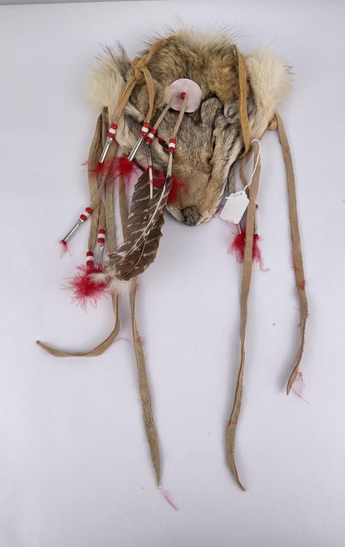 Cayuga Native American Indian Wolf Scalp Headdress