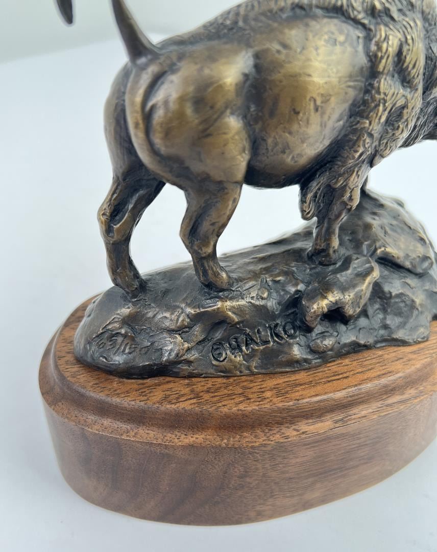 Joe Halko Big Medicine Montana Buffalo Bronze