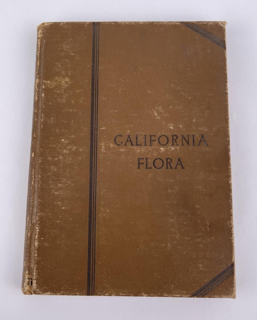 A Popular California Flora