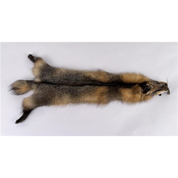 Ranch Cross Fox Fur Pelt Taxidermy