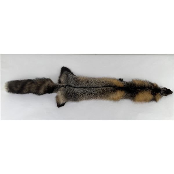 Beautiful Ranch Cross Fox Fur Pelt Taxidermy