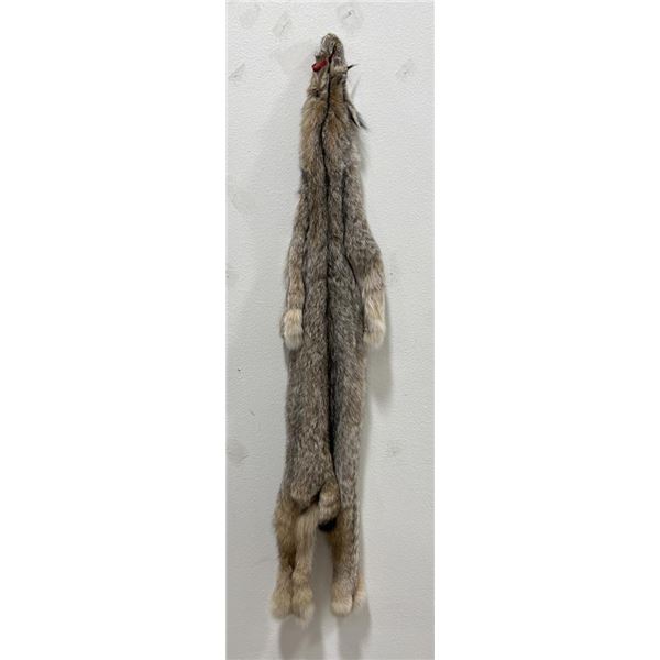 Beautiful Alaskan Lynx Fur Pelt Taxidermy