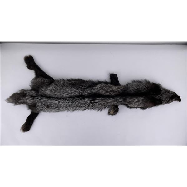 Beautiful Ranch Silver Fox Fur Pelt Taxidermy