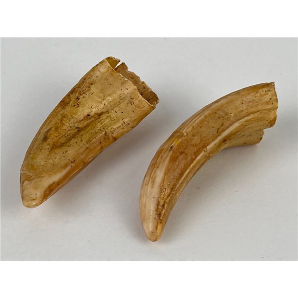 Pair of Alaskan Inuit Eskimo Whale Teeth