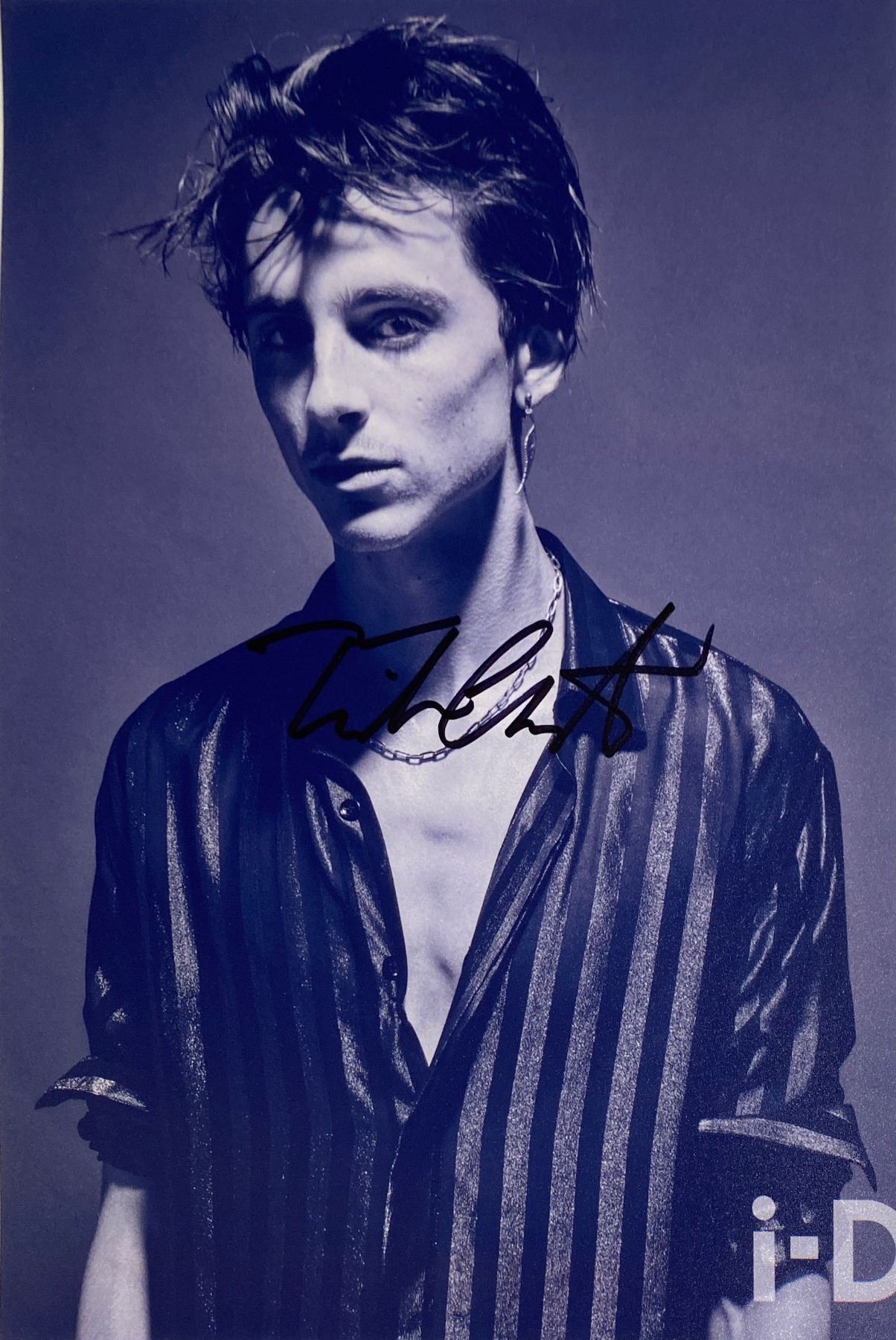 Autograph Signed Timothée Chalamet Photo