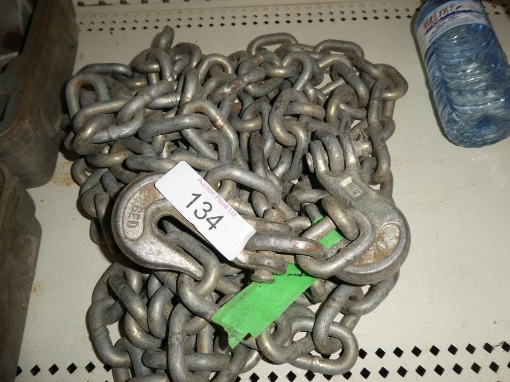 20 foot, 2-hook chain