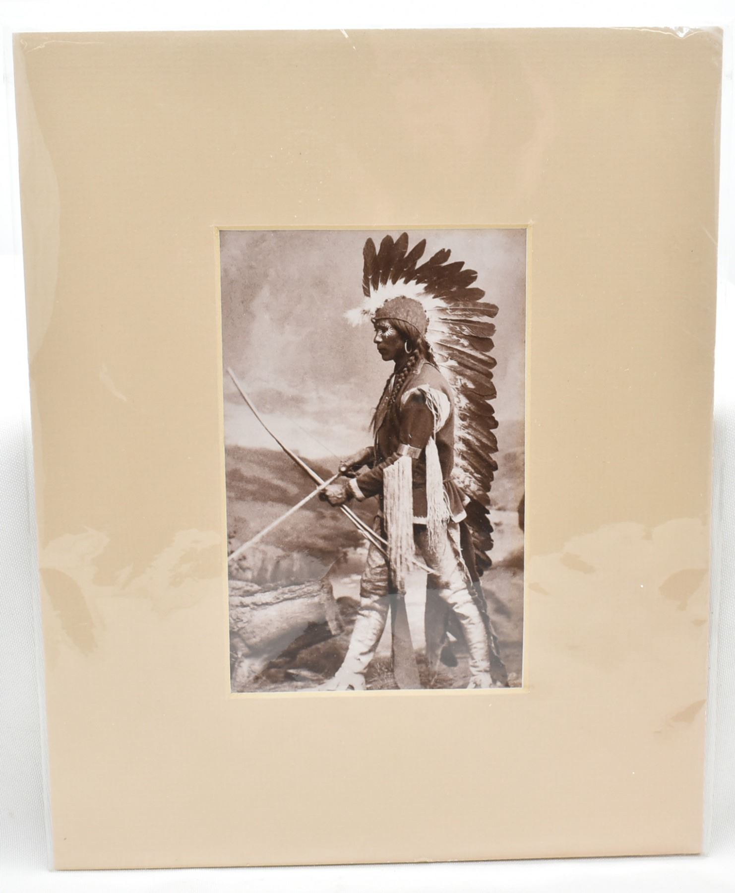 1875 Taos Pueblo Chief Photographic Print