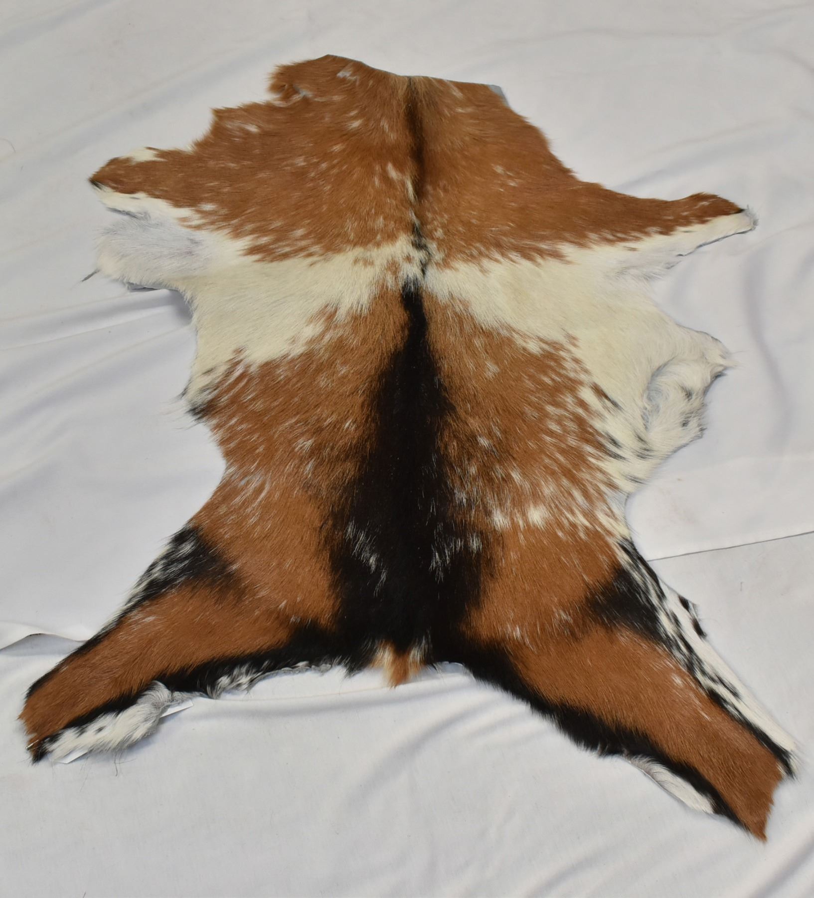 New Multi-Colored Goat Hide, measures 25'' x 25''