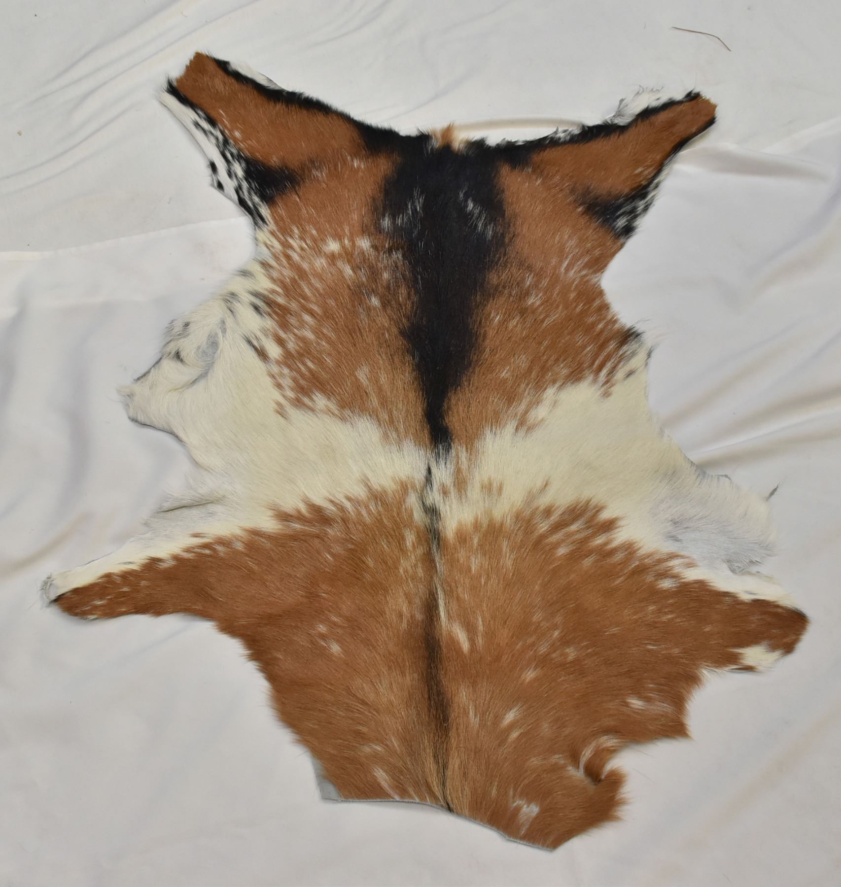New Multi-Colored Goat Hide, measures 25'' x 25''