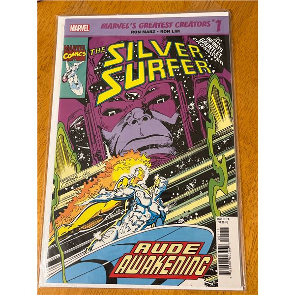 Silver Surfer Rude Awakening