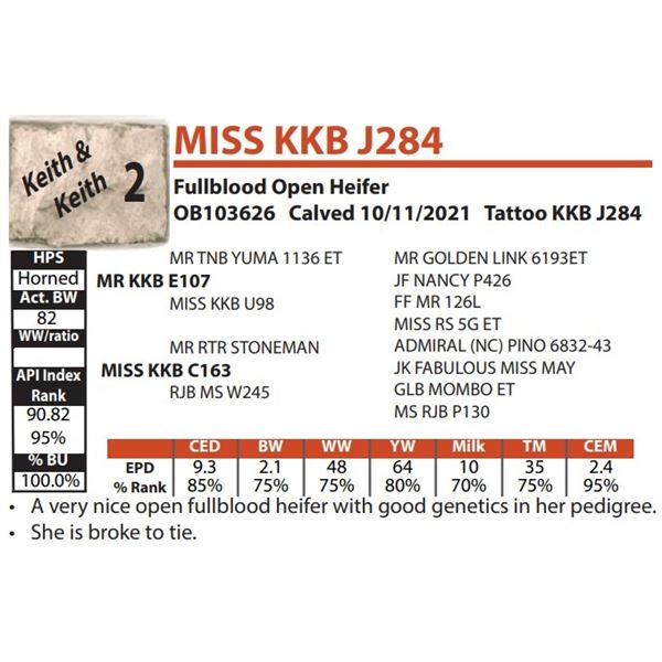 MISS KKB J284