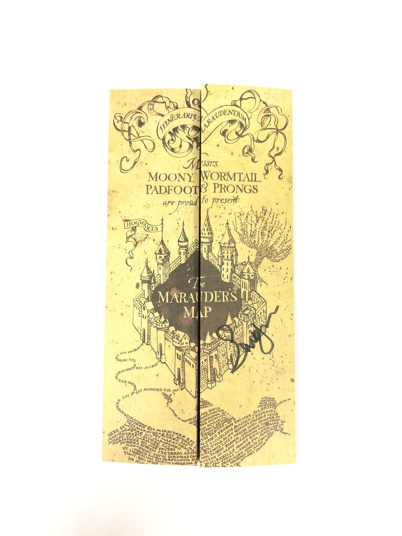 Harry Potter Emma Watson Signd Map