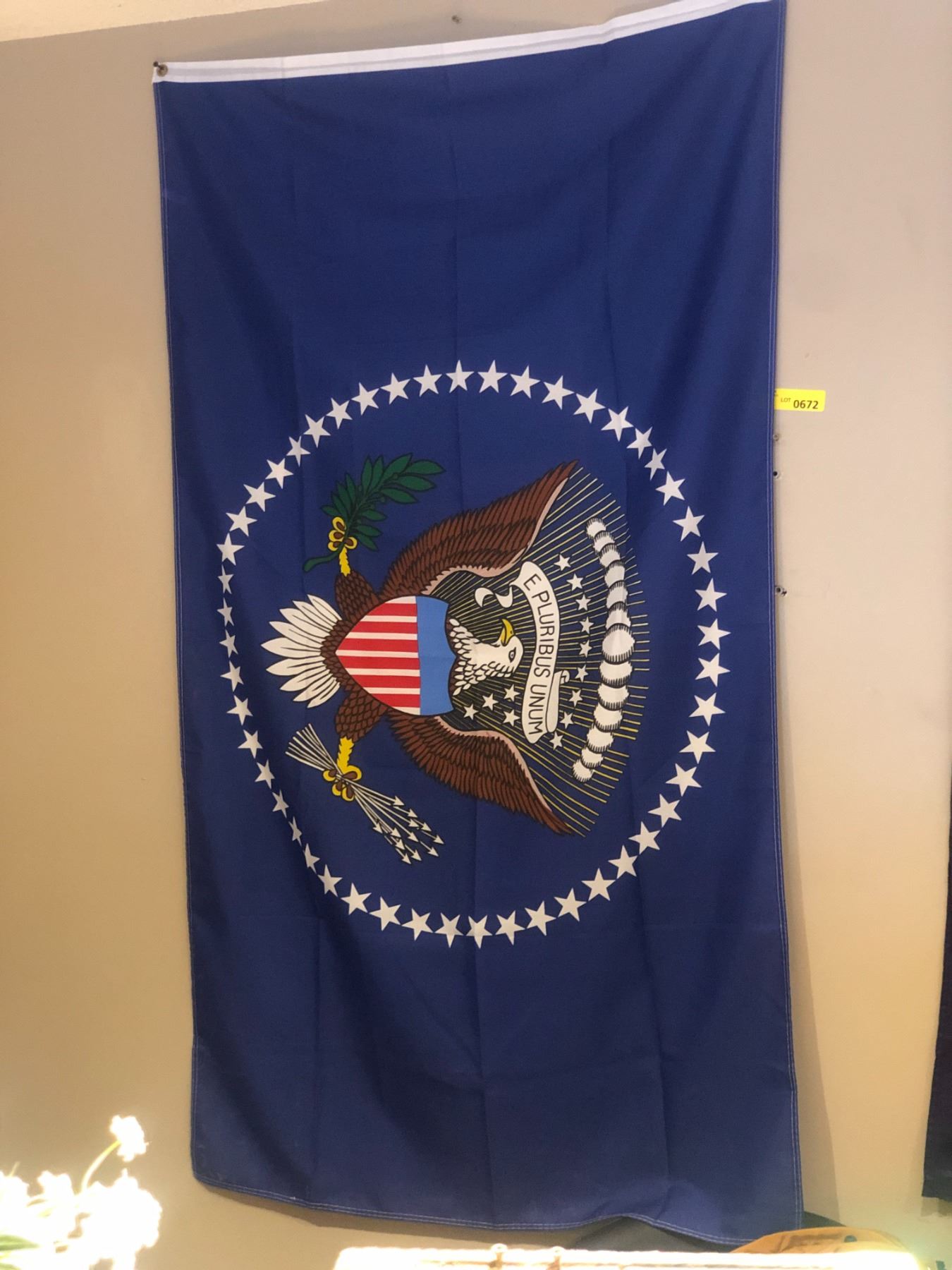 "Motherland Fort Salem" - Eagle US flag (approx 33" x 16")