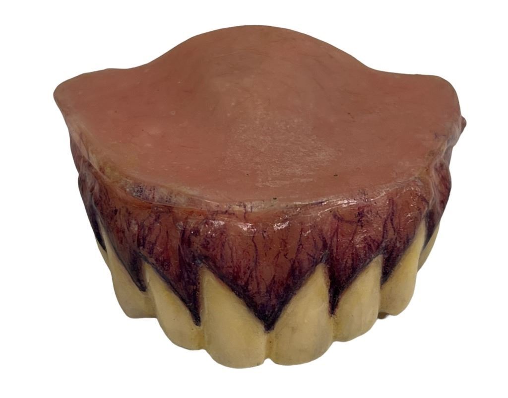 Green Lantern (2011) - Abin Sur (Temuera Morrison) Dead Alien Teeth