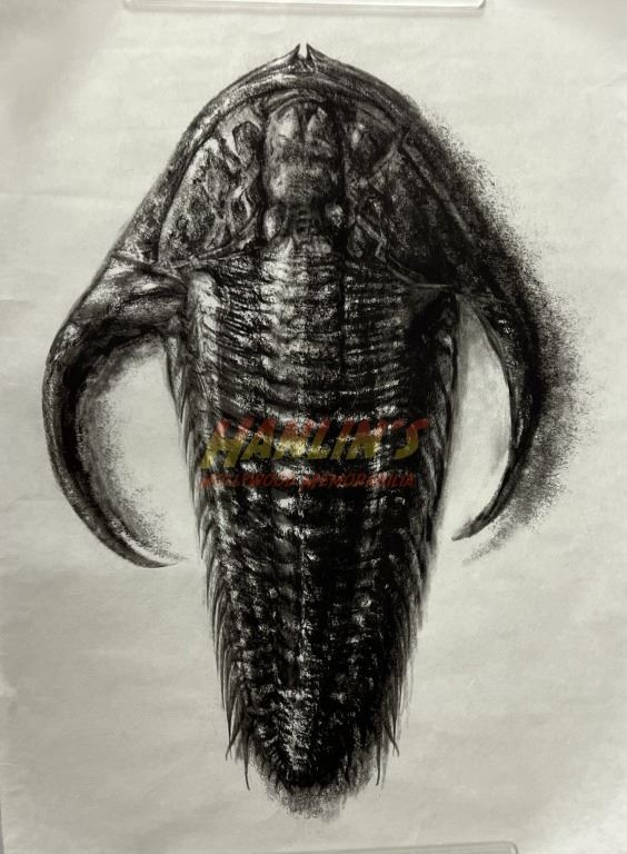 Alien: Covenant (2017) - David's Artwork (Michael Fassbender ...