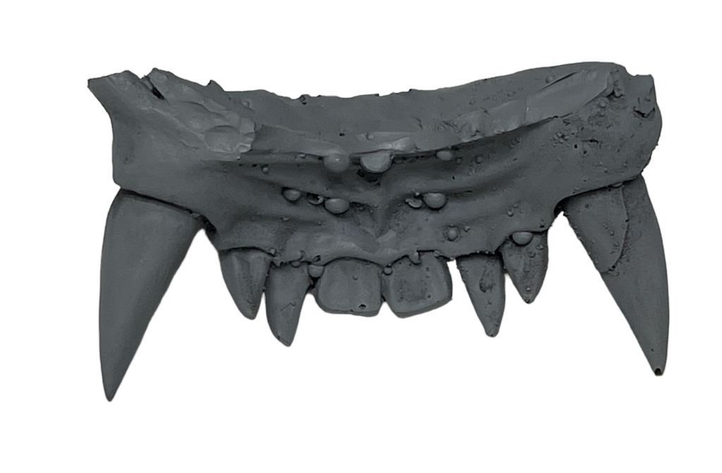 Beauty and the Beast (2017) - Beast (Dan Stevens) Top Teeth With Fangs Cast